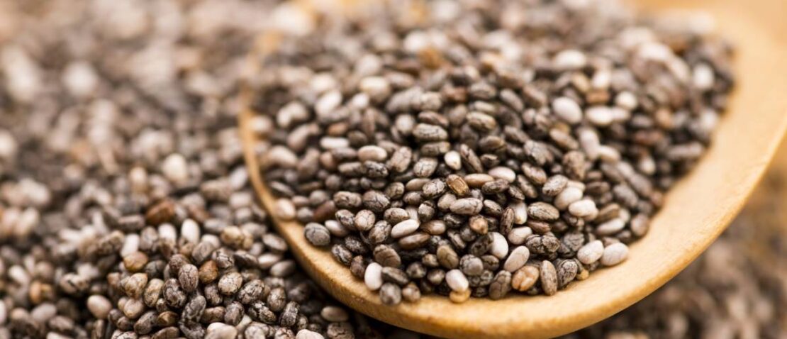 Todo sobre la chía - Casa de Mexico