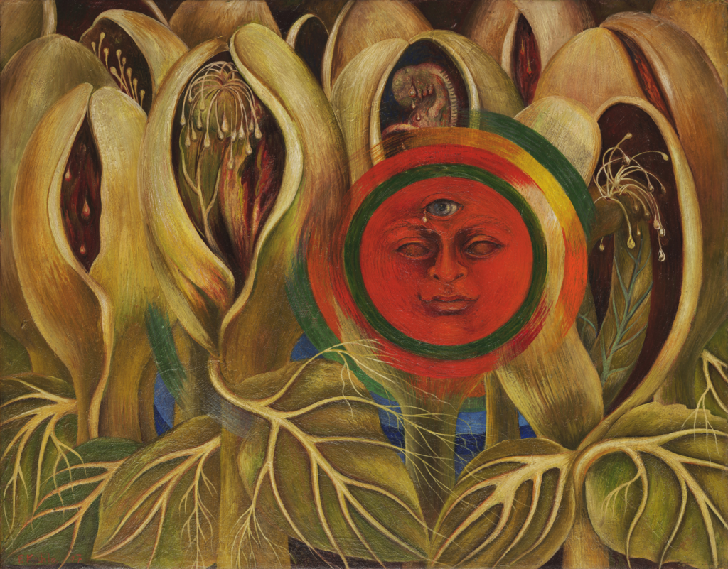 Exposiciones | Frida Kahlo: alas para volar - Sol y vida (1947) - Casa ...