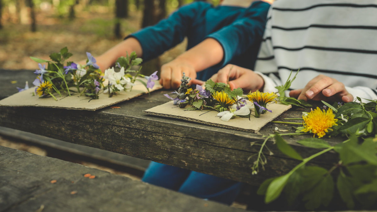 Talleres científicos para niños 2026 | Los colores de las flores ...
